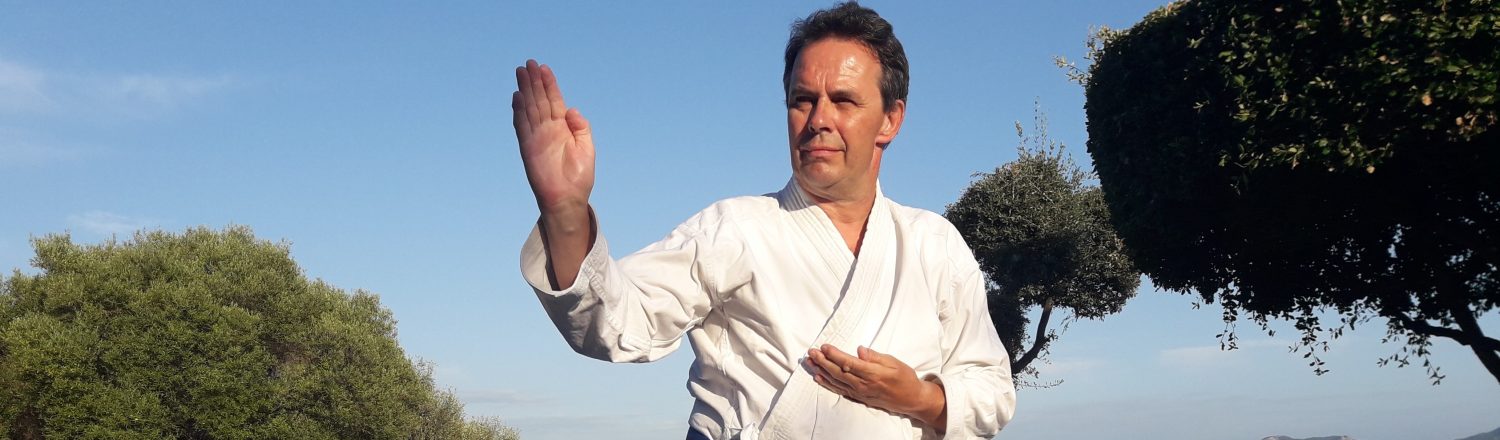 cropped-Olmeto-Raphael-karate-1.jpg – Karaté Croissy